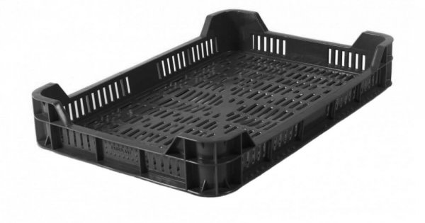 Cauti Ladita din Plastic? Descopera Oferta Silio!